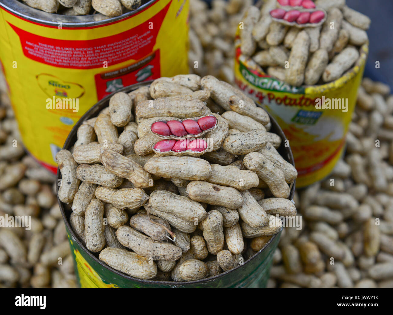 Sheath 12 hi-res stock photography and images - Alamy