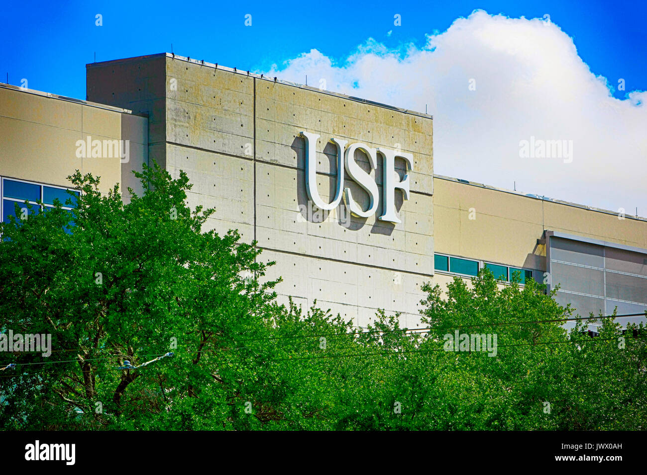 University of south florida hi-res stock photography and images - Alamy
