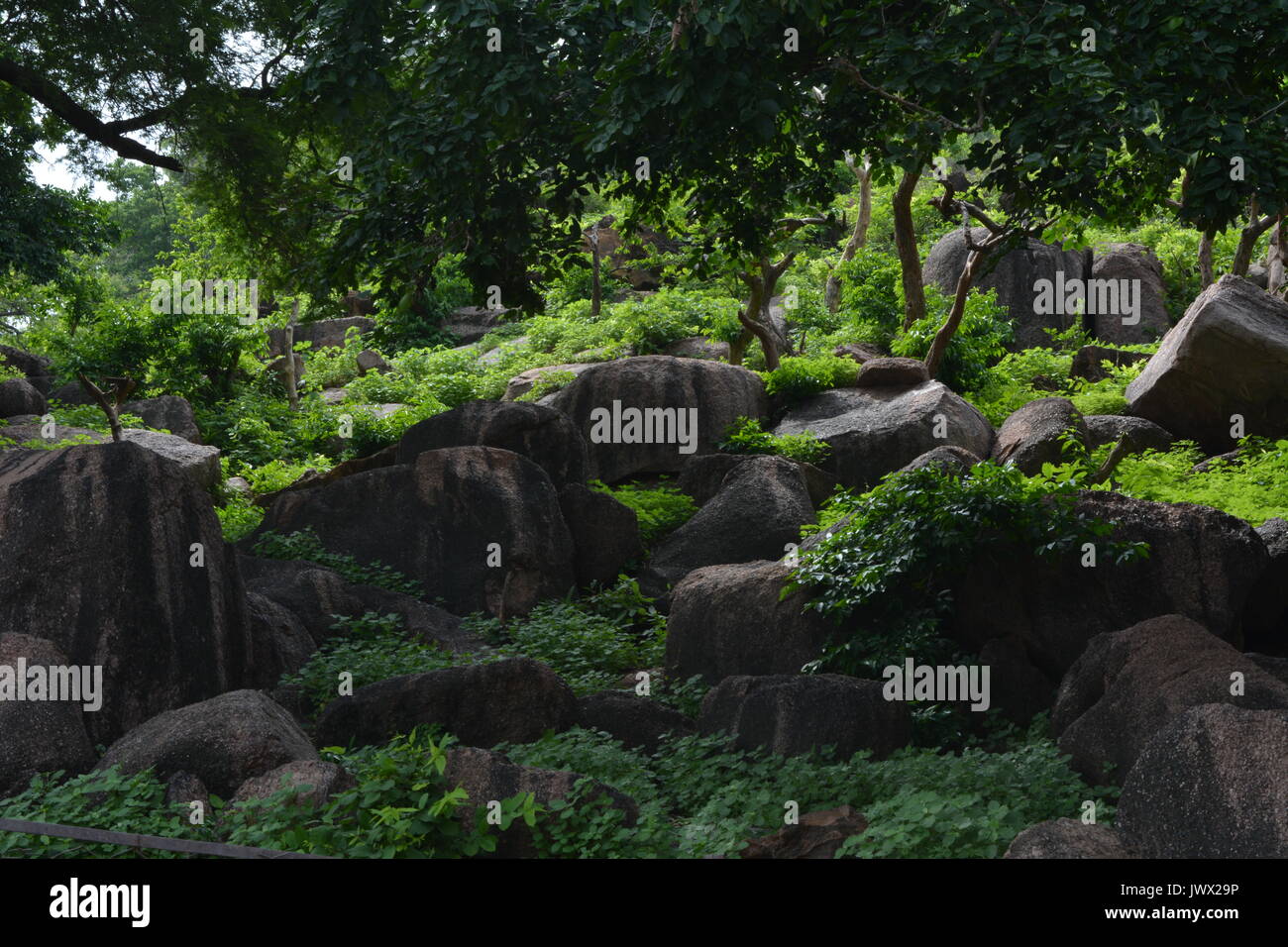 India rock hills hi-res stock photography and images - Alamy