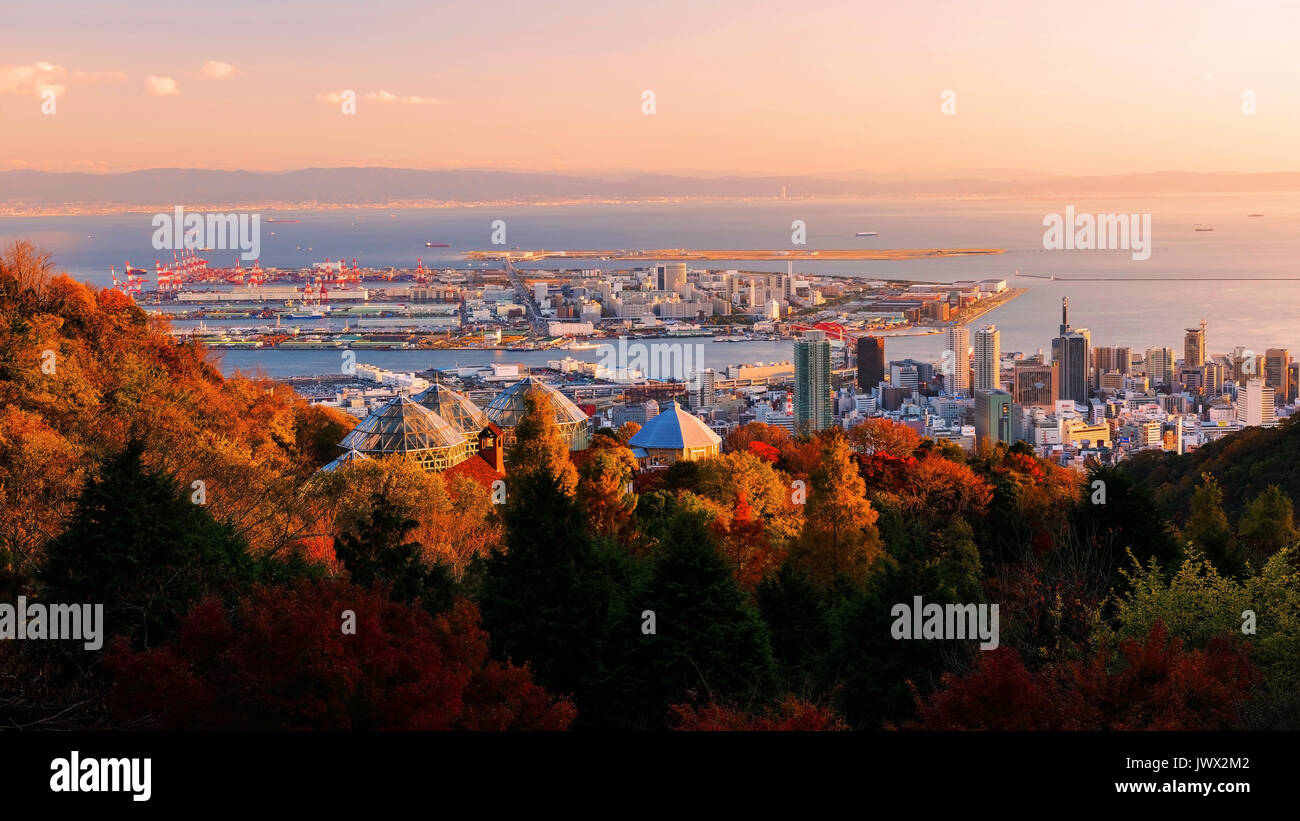 Kobe top view from Nunobiki Herb Garden with autumn foliage at twilight ...