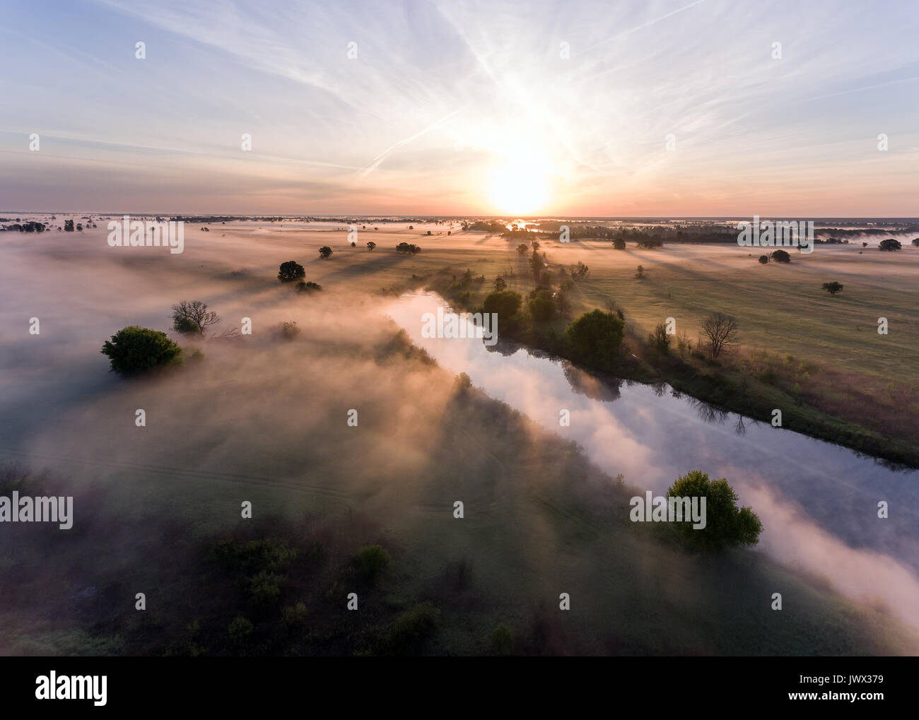 Aerial view beautiful fish hi-res stock photography and images - Alamy