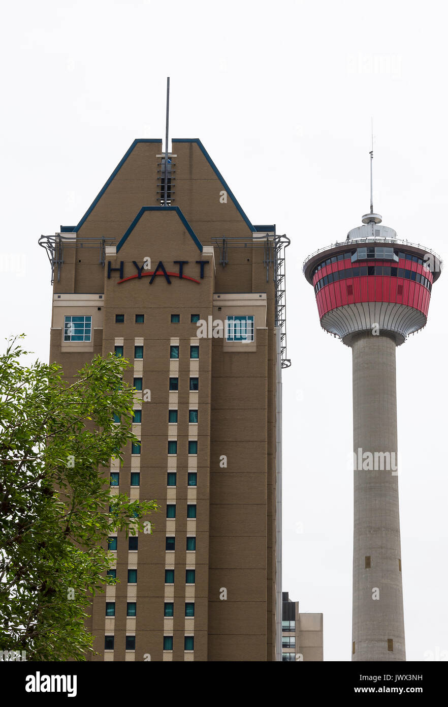 The Hyatt Regency Hotel and The Calgary Tower From Centre Street in ...