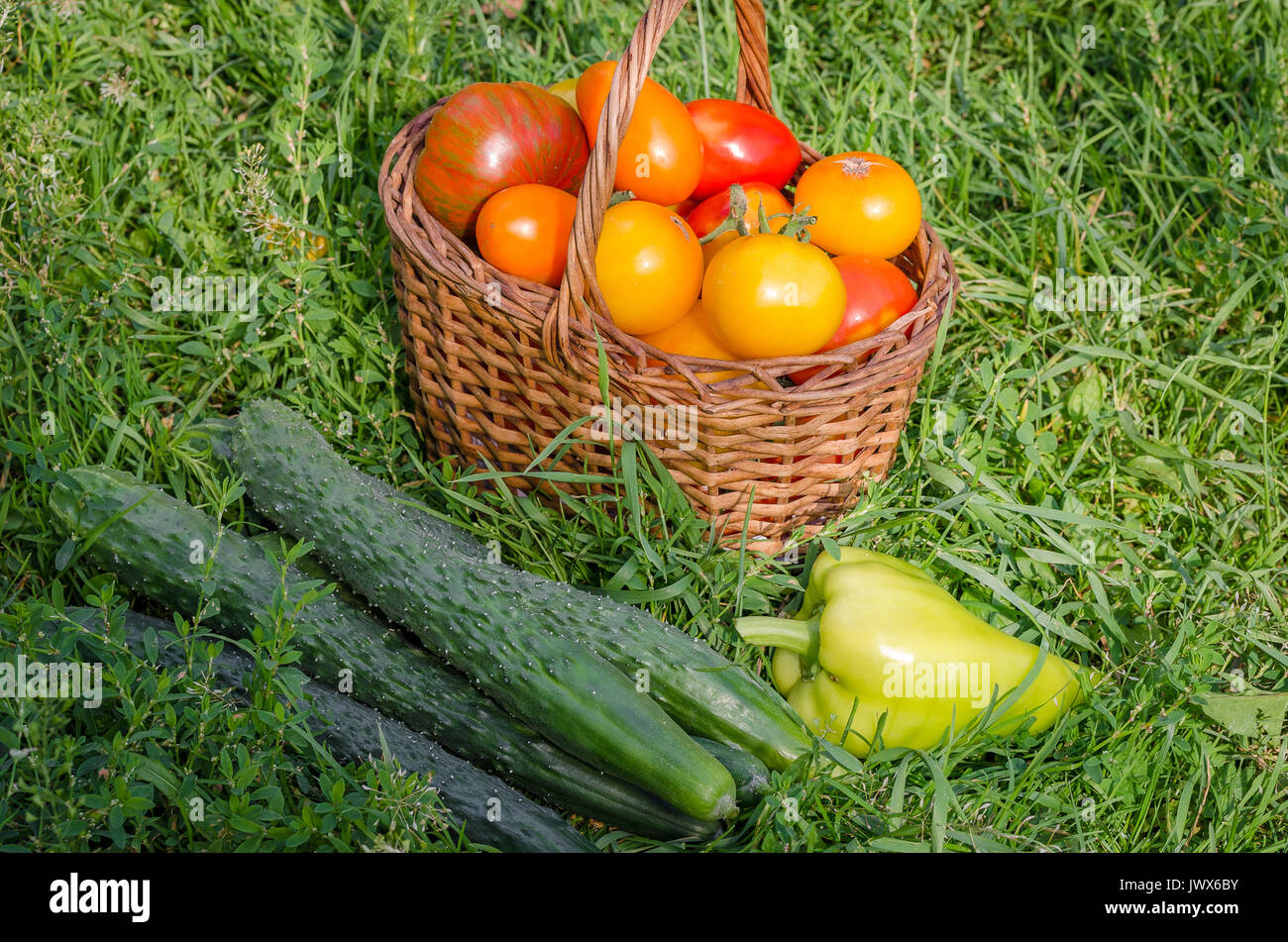 Natural harvest garden hi-res stock photography and images - Alamy