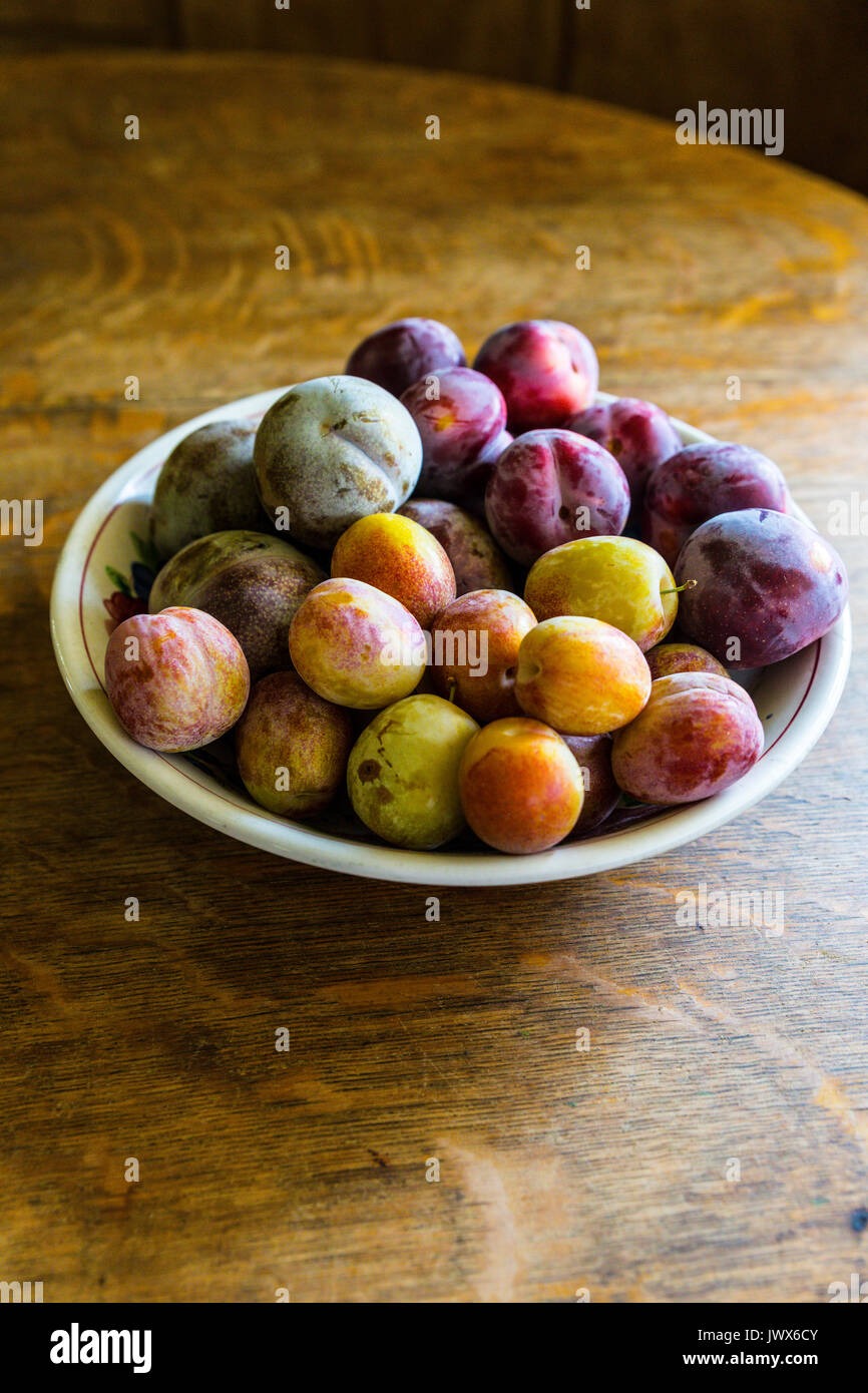 Tree ripened home grown yellow, red, and green plums Stock Photo - Alamy