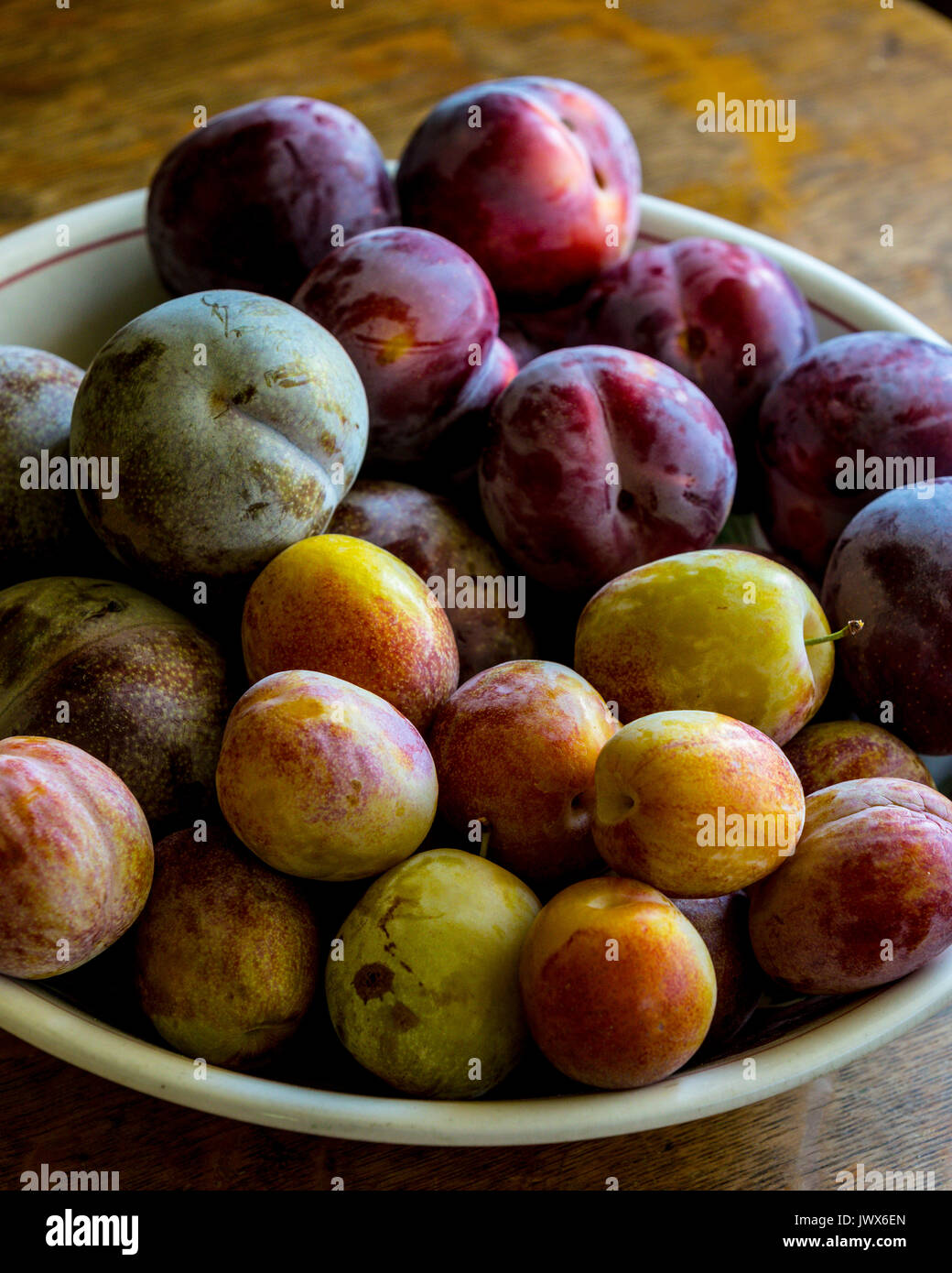 Tree ripened home grown yellow, red, and green plums Stock Photo - Alamy
