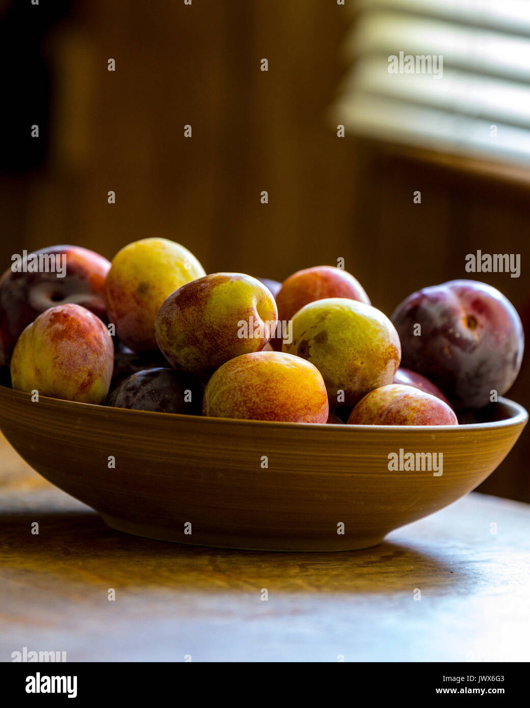 Tree ripened home grown yellow, red, and green plums Stock Photo - Alamy