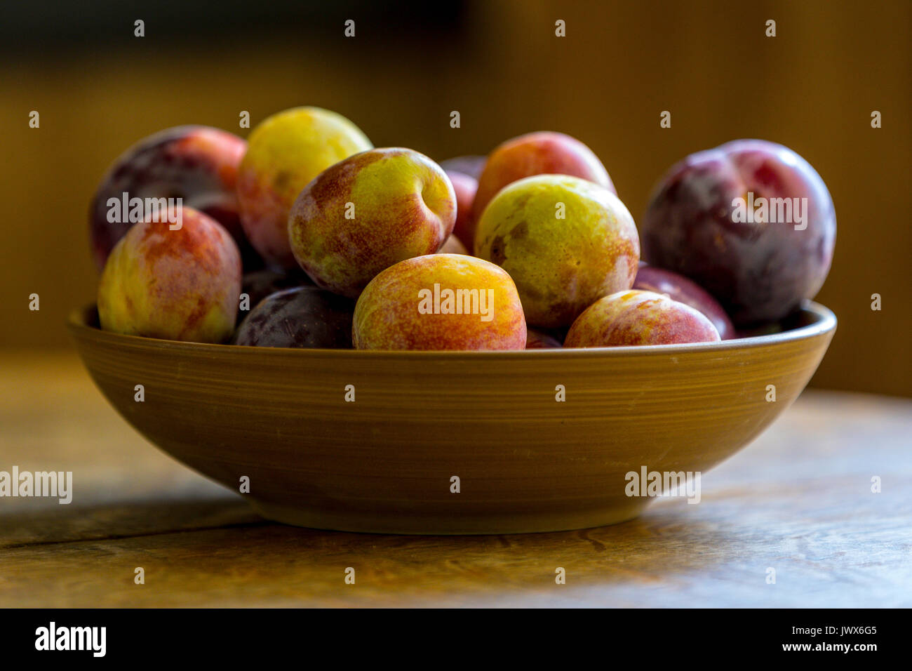 Tree ripened home grown yellow, red, and green plums Stock Photo - Alamy