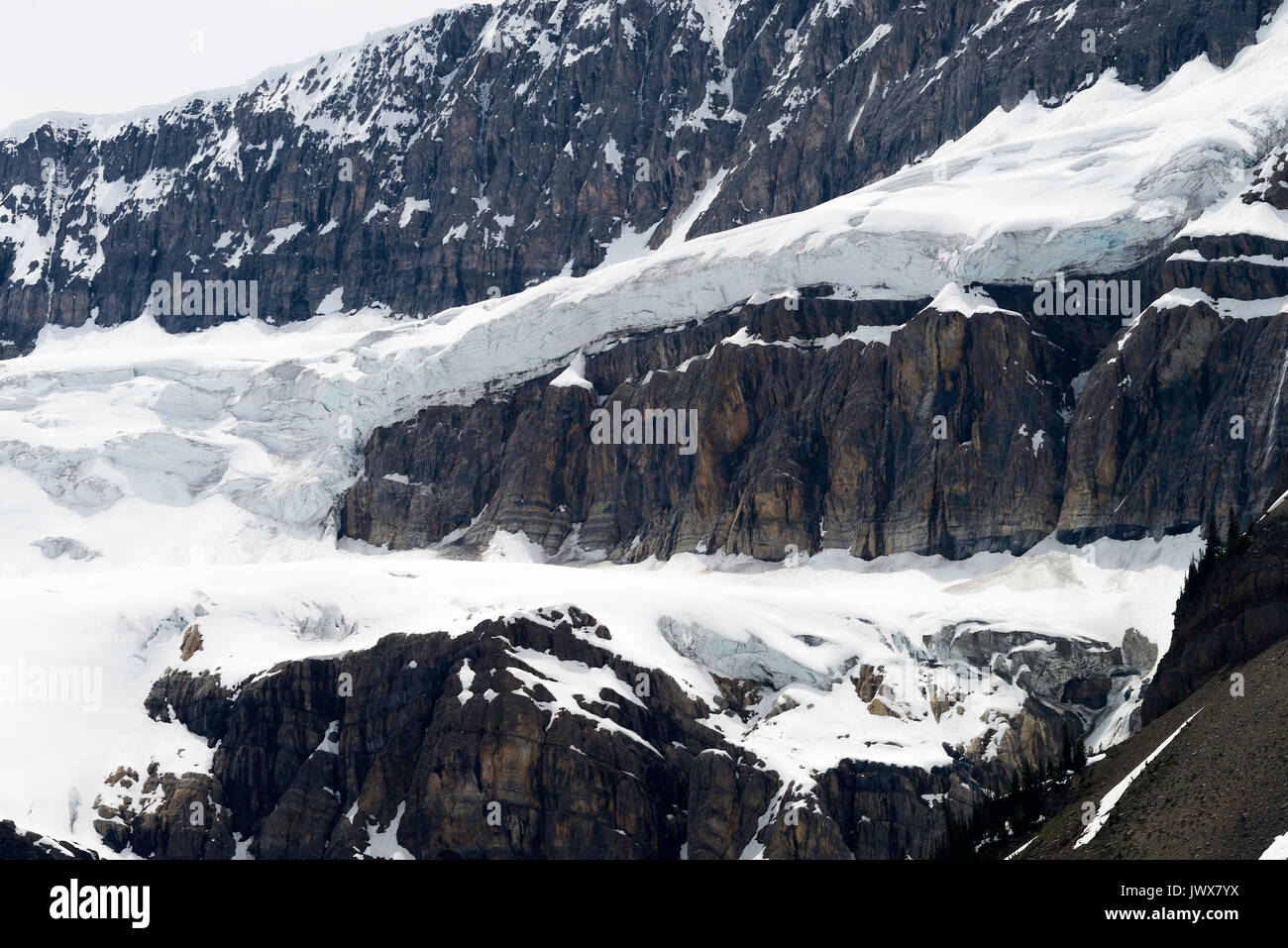 The Beautiful Victoria Glacier near lake Louise in Banff National Park ...