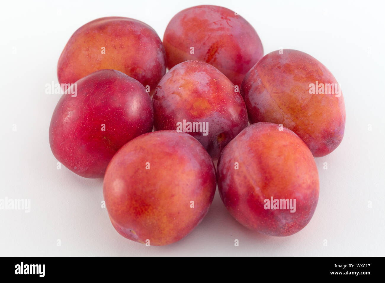 Plum Fruit Fresh Plums Harvest from Garden Stock Photo - Alamy