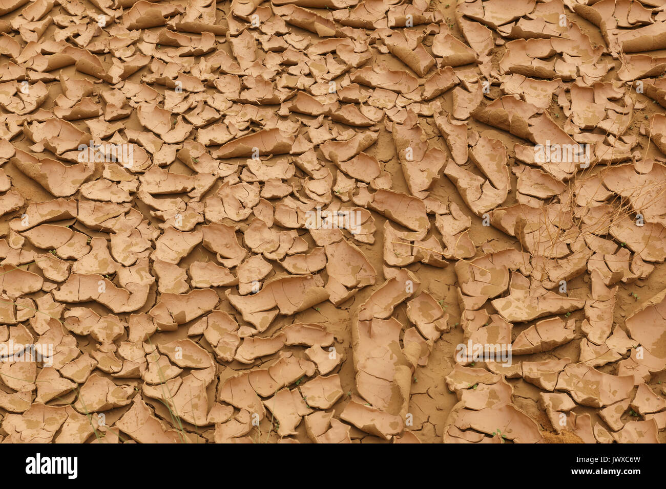 Cracked earth in Sahara desert Stock Photo - Alamy