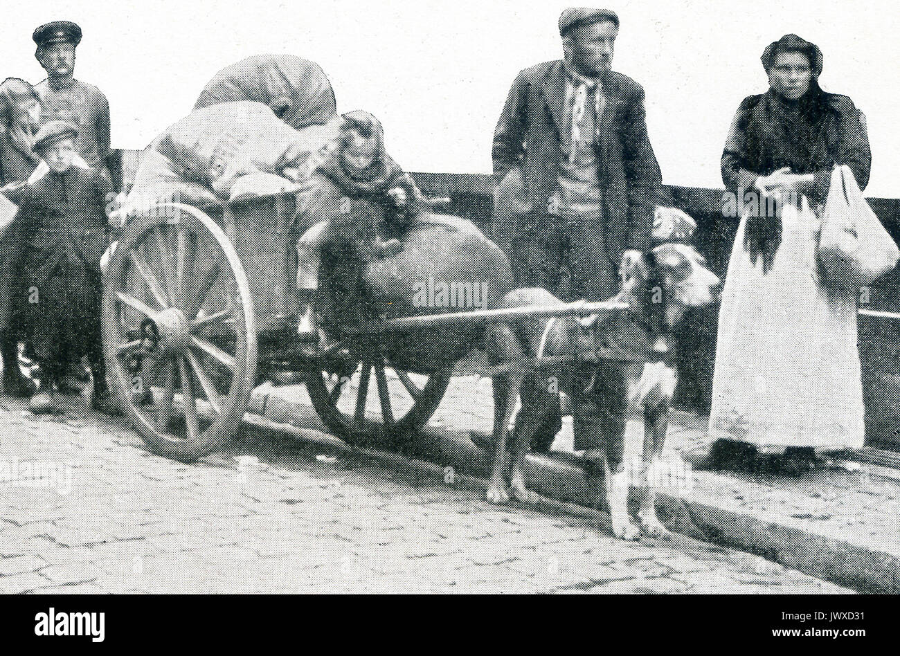 The caption for this photo from the early days of World War I reads ...