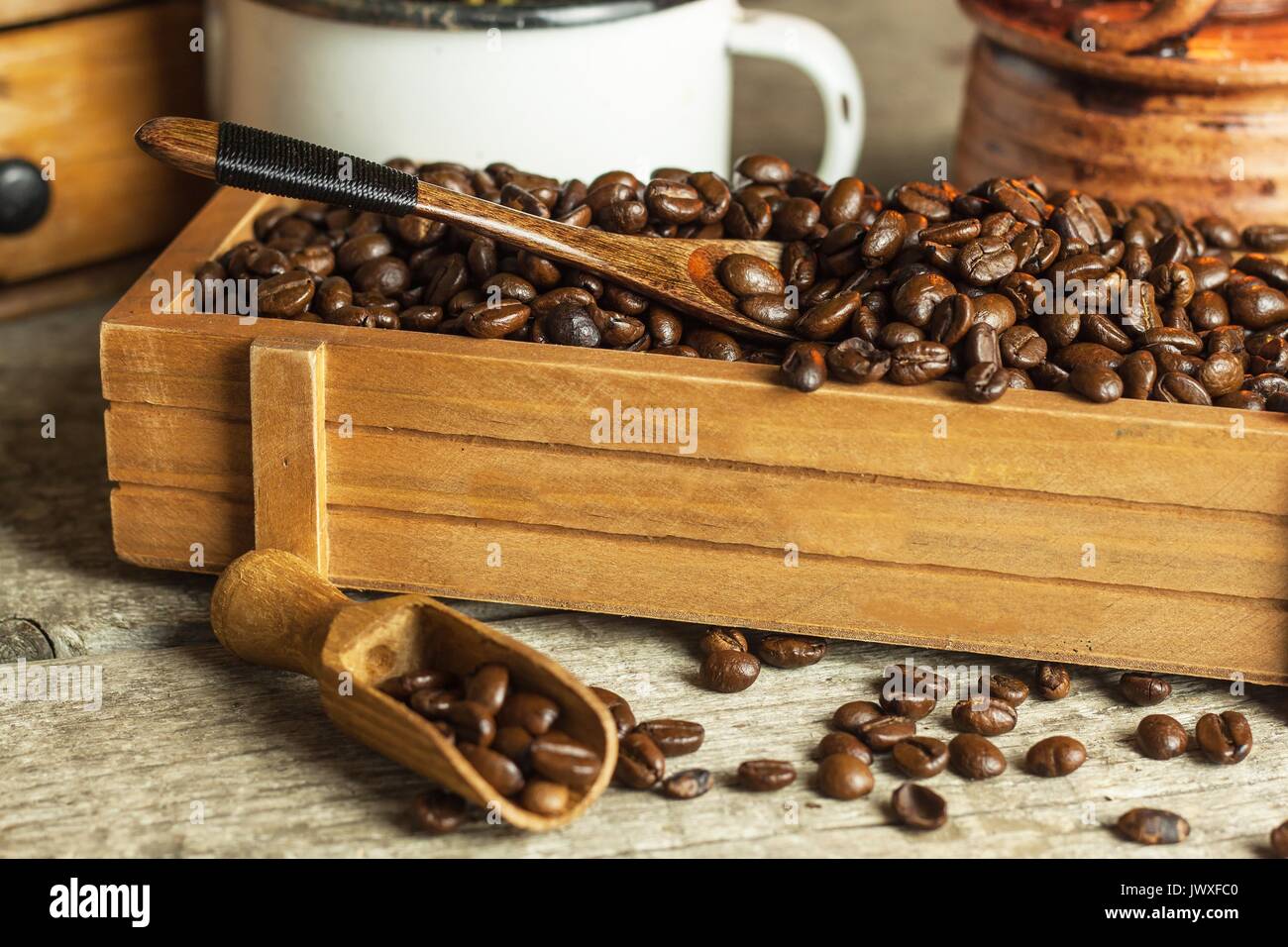 Coffee beans and coffee seedlings. Coffee trading. Crop production ...