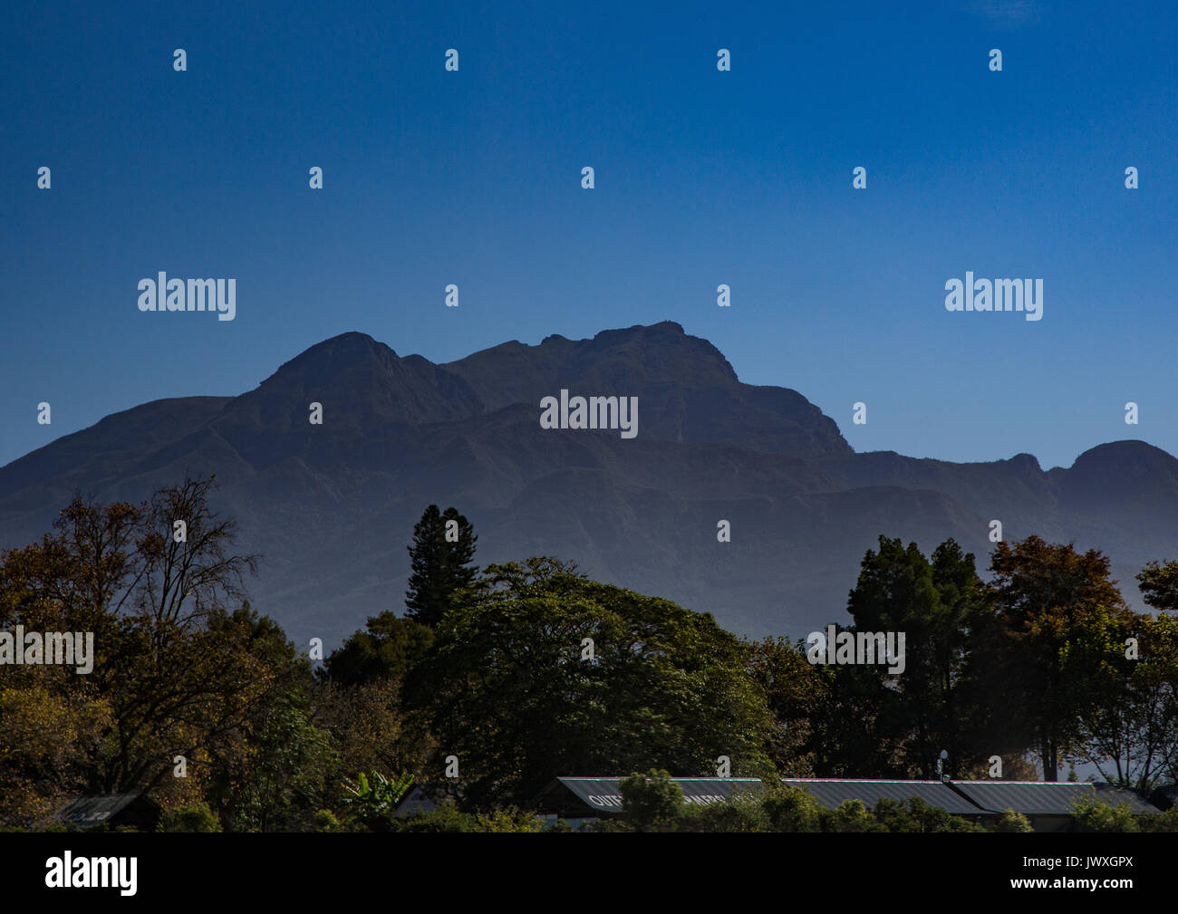 Lanscape of the Southern Cape of South Africa during summer Stock Photo ...