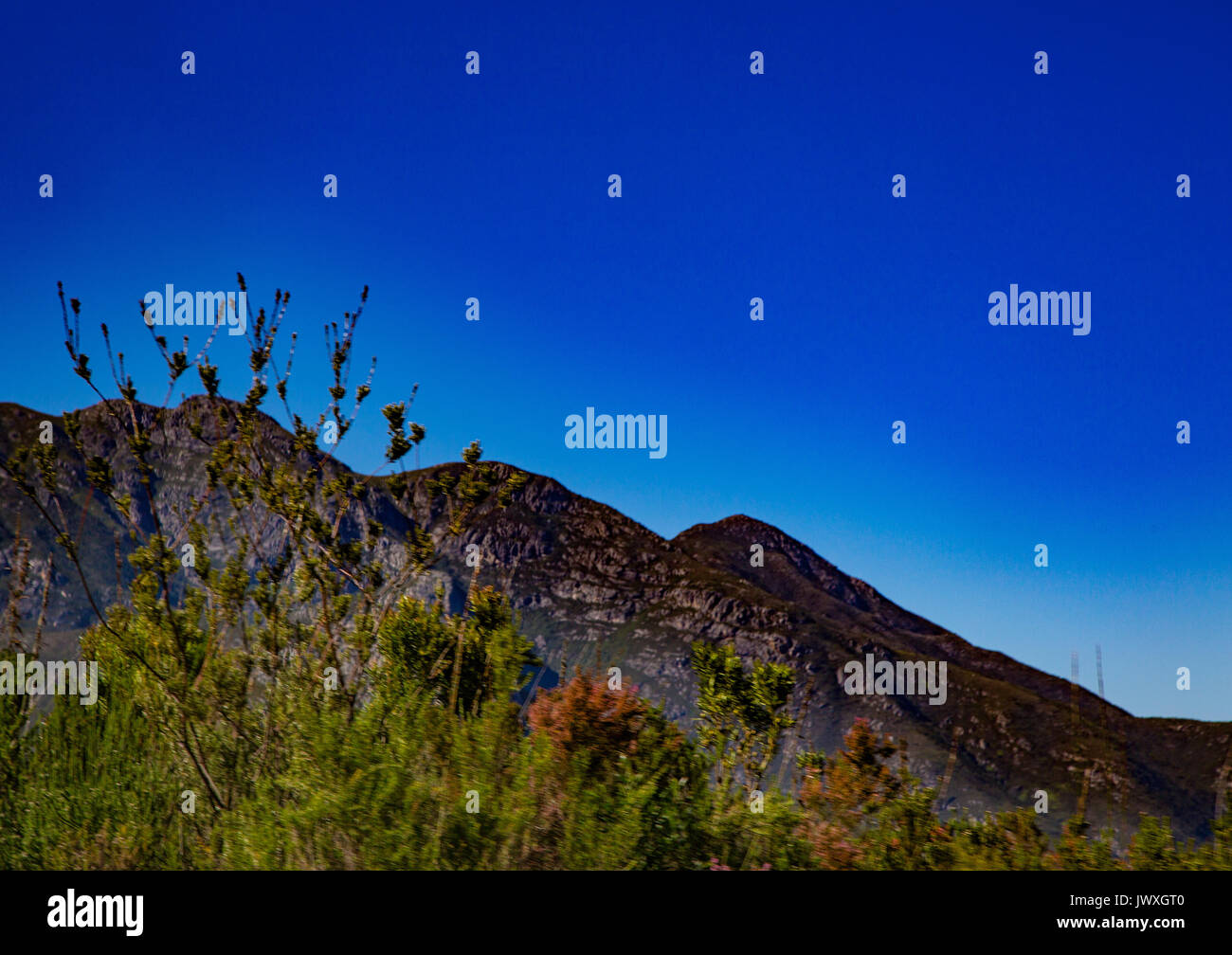Lanscape of the Southern Cape of South Africa during summer Stock Photo ...
