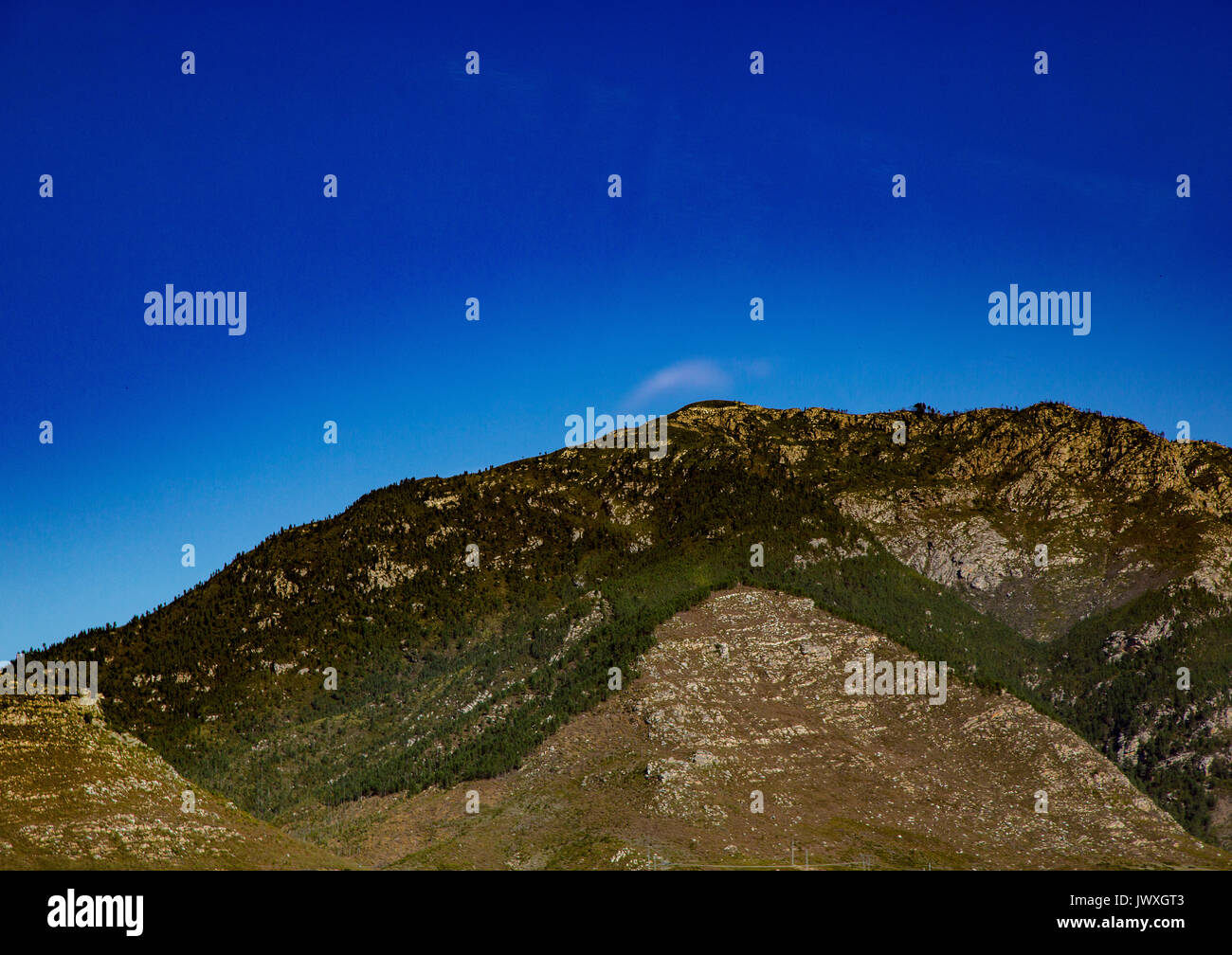 Lanscape of the Southern Cape of South Africa during summer Stock Photo ...