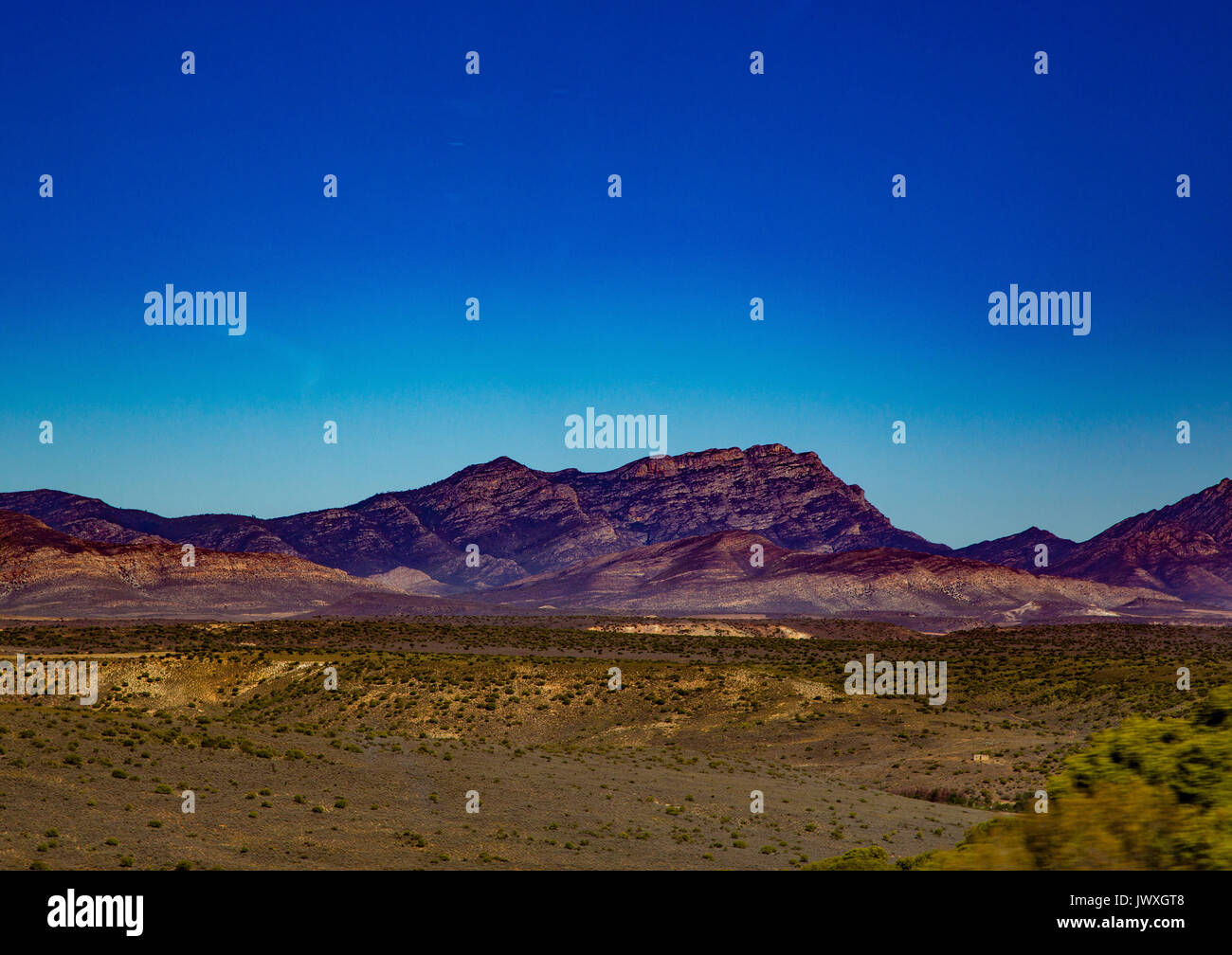 Lanscape of the Southern Cape of South Africa during summer Stock Photo ...