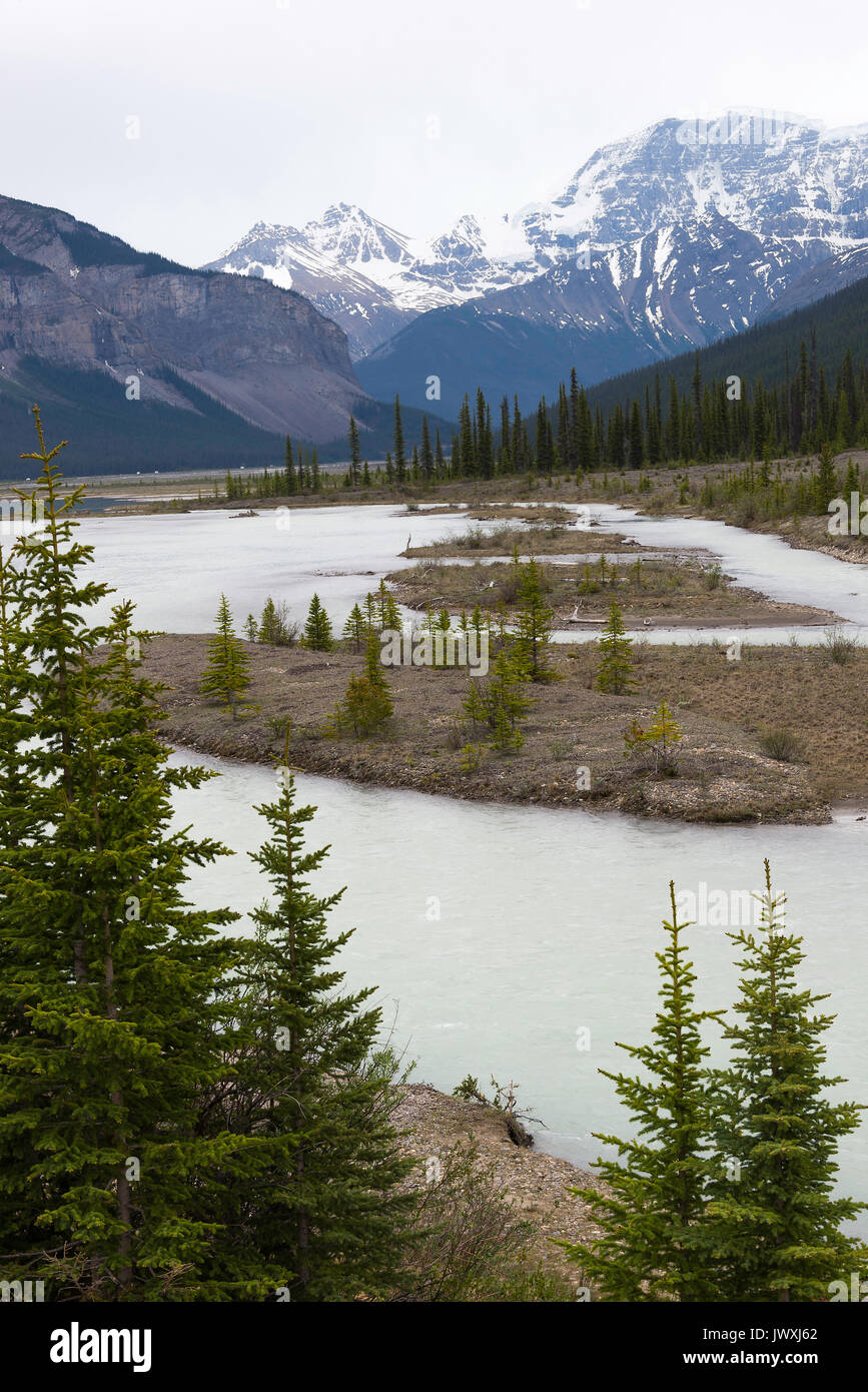 The Sunwapta River on the Icefields Parkway in Jasper National Park ...
