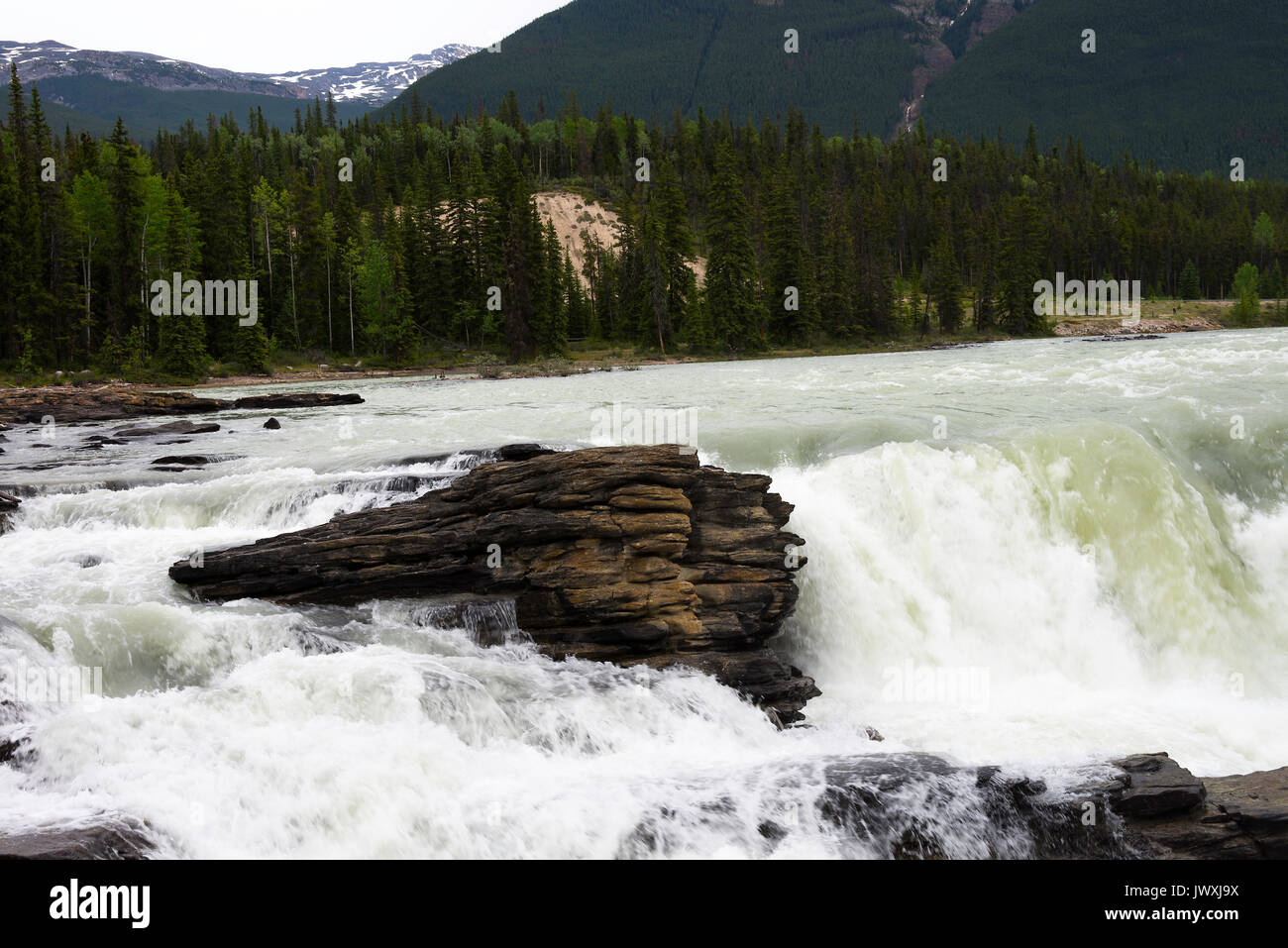 Athabasca falls athabasca river jasper hi-res stock photography and ...
