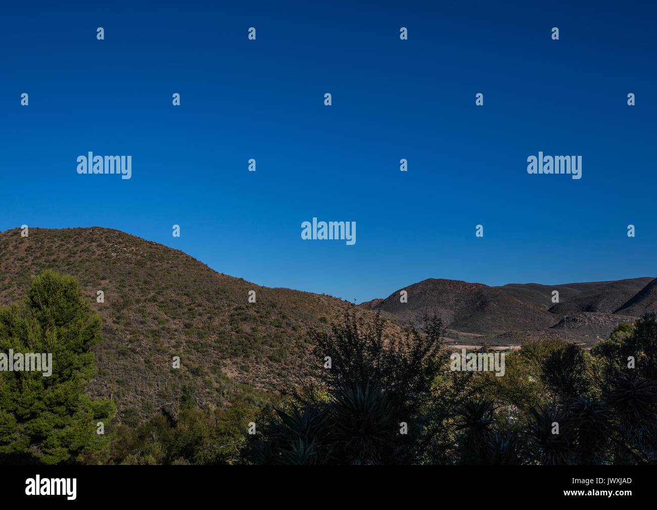 Lanscape of the Southern Cape of South Africa during summer Stock Photo ...