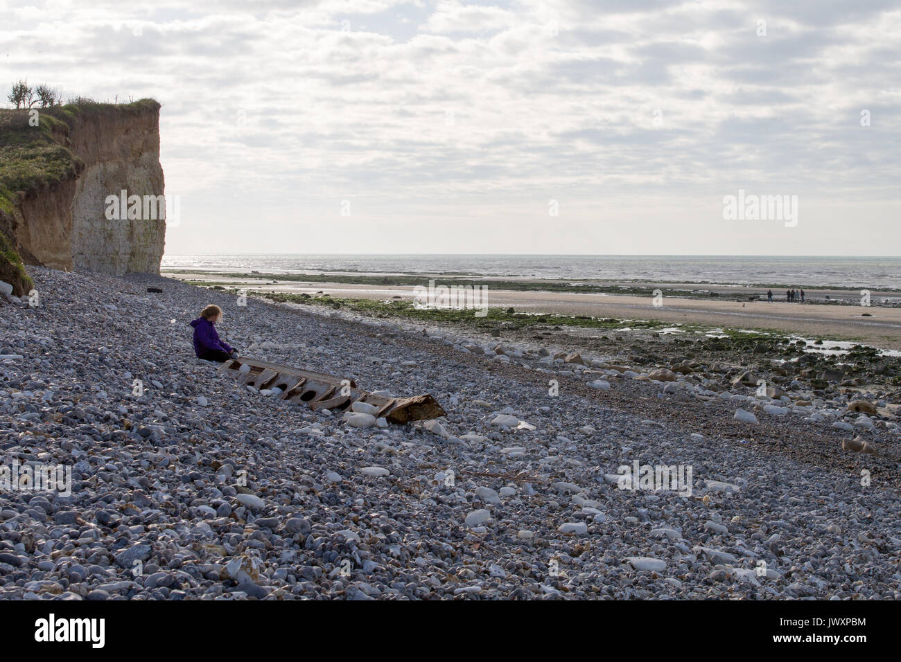 Spring landscape by the ocean on the coast of Normandy, France with ...