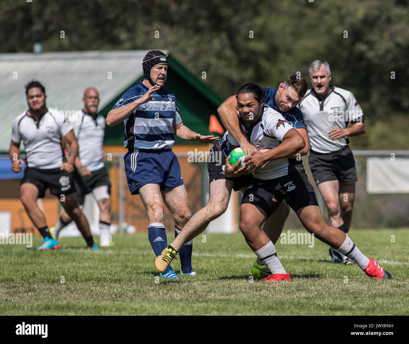 Mt. Shasta vs Modesto Harlots at the Rugby Sevens Tournament in Mount ...