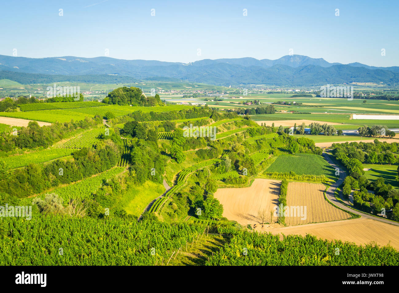 Freiburg breisgau germany hi-res stock photography and images - Alamy