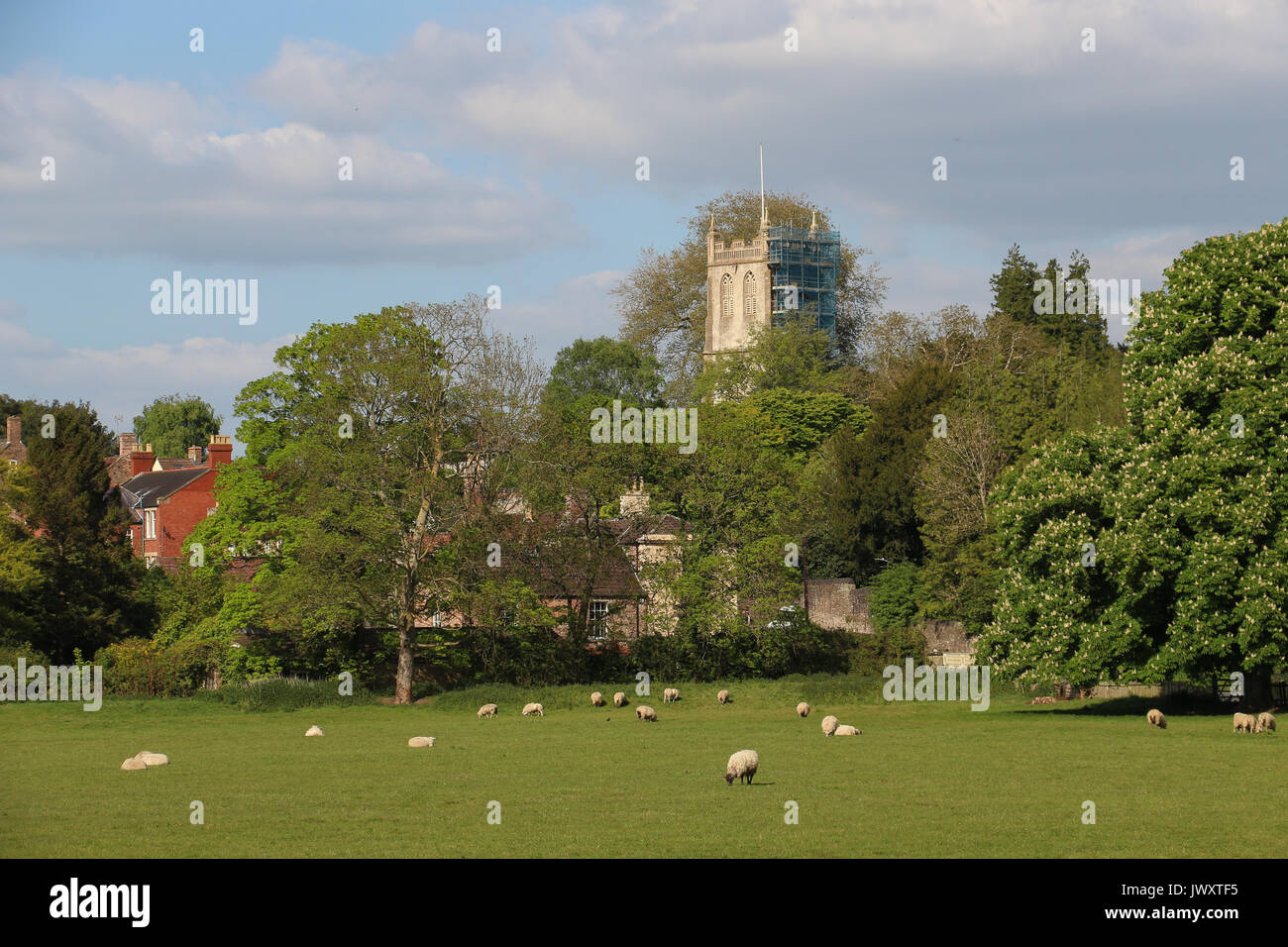 A typical English village scene with huge chestnut trees, church bell ...