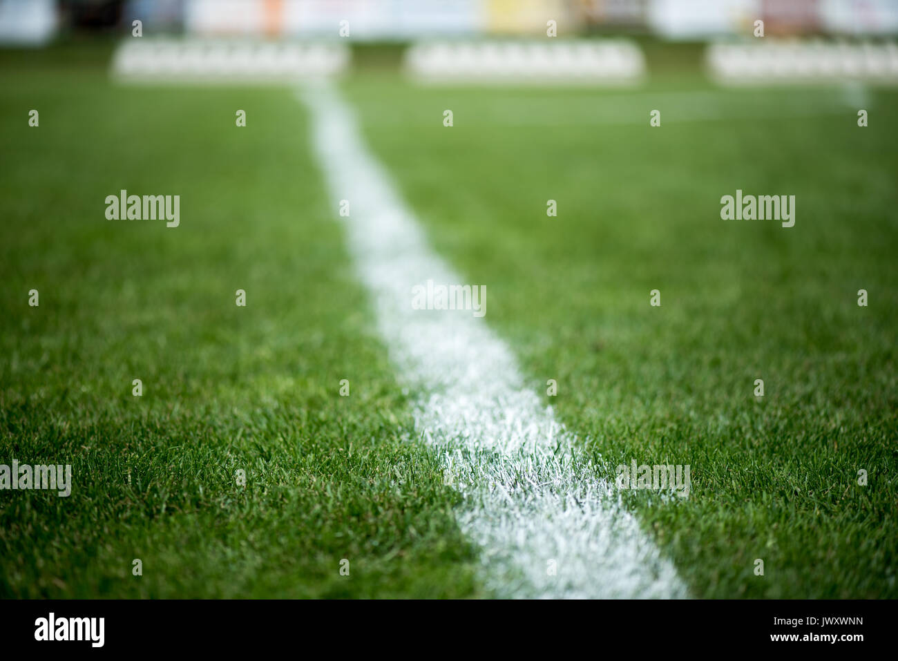 White line on a green football field Stock Photo - Alamy