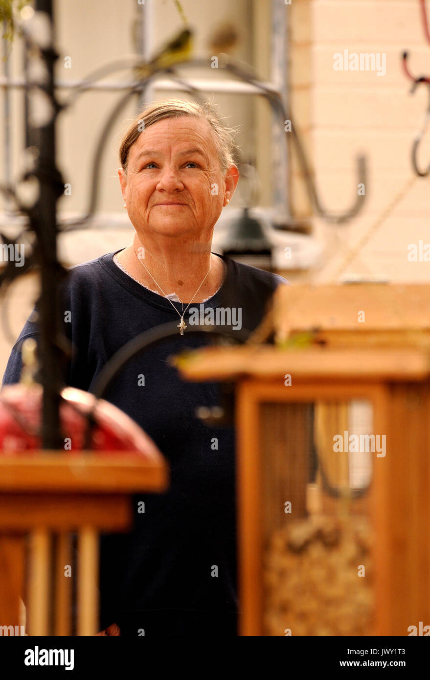 Gale Odion fills one of the 43 bird feeders in the yard of her midtown ...