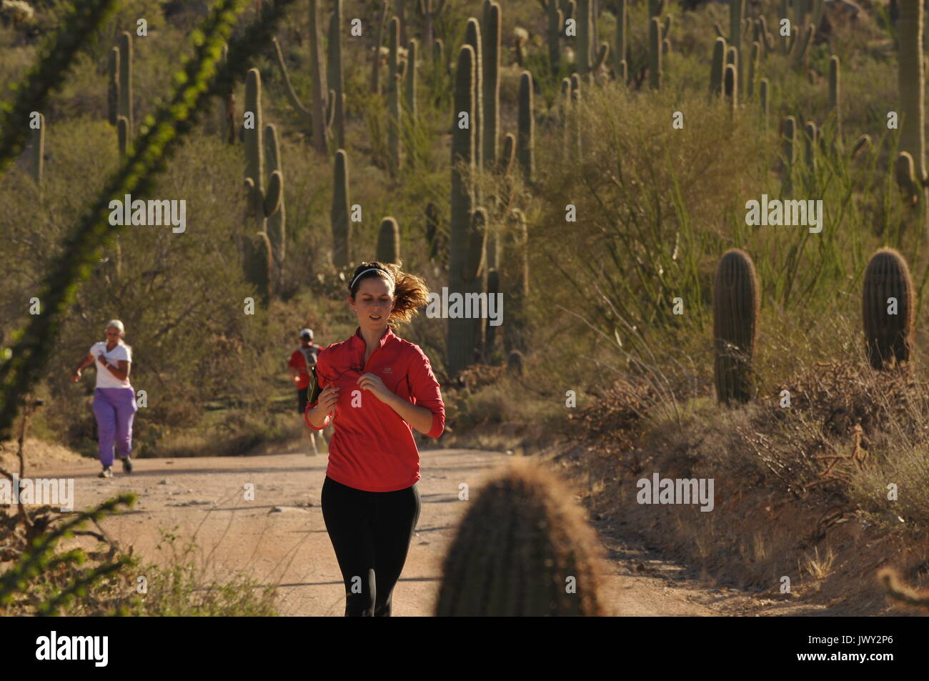 Bajada loop drive saguaro hi-res stock photography and images - Alamy