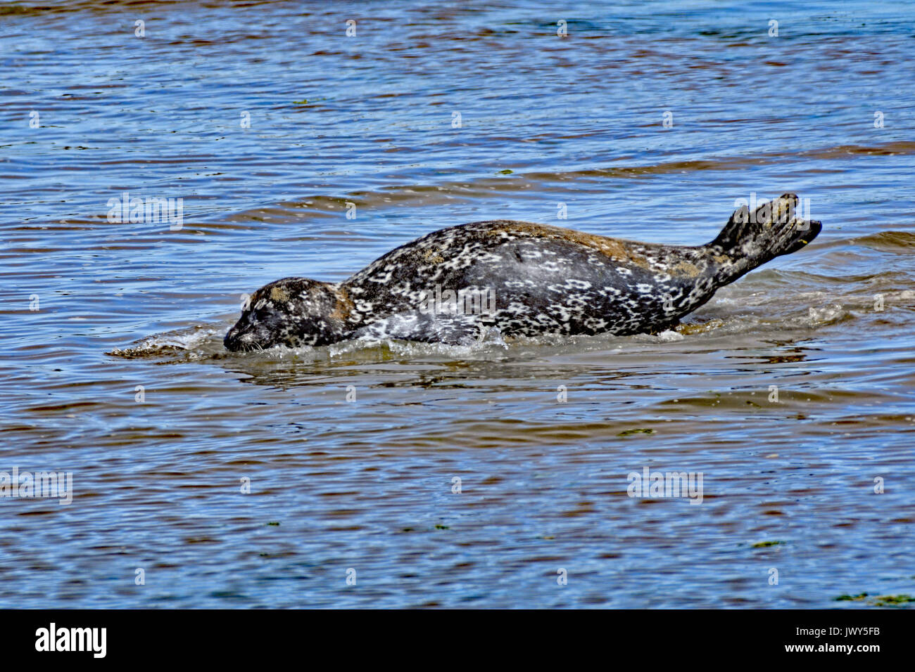 Sliding dots hi-res stock photography and images - Alamy
