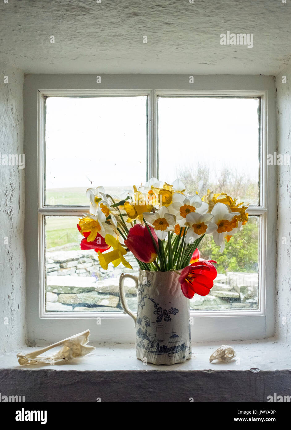 Croft crofter scotland cottage hi-res stock photography and images - Alamy