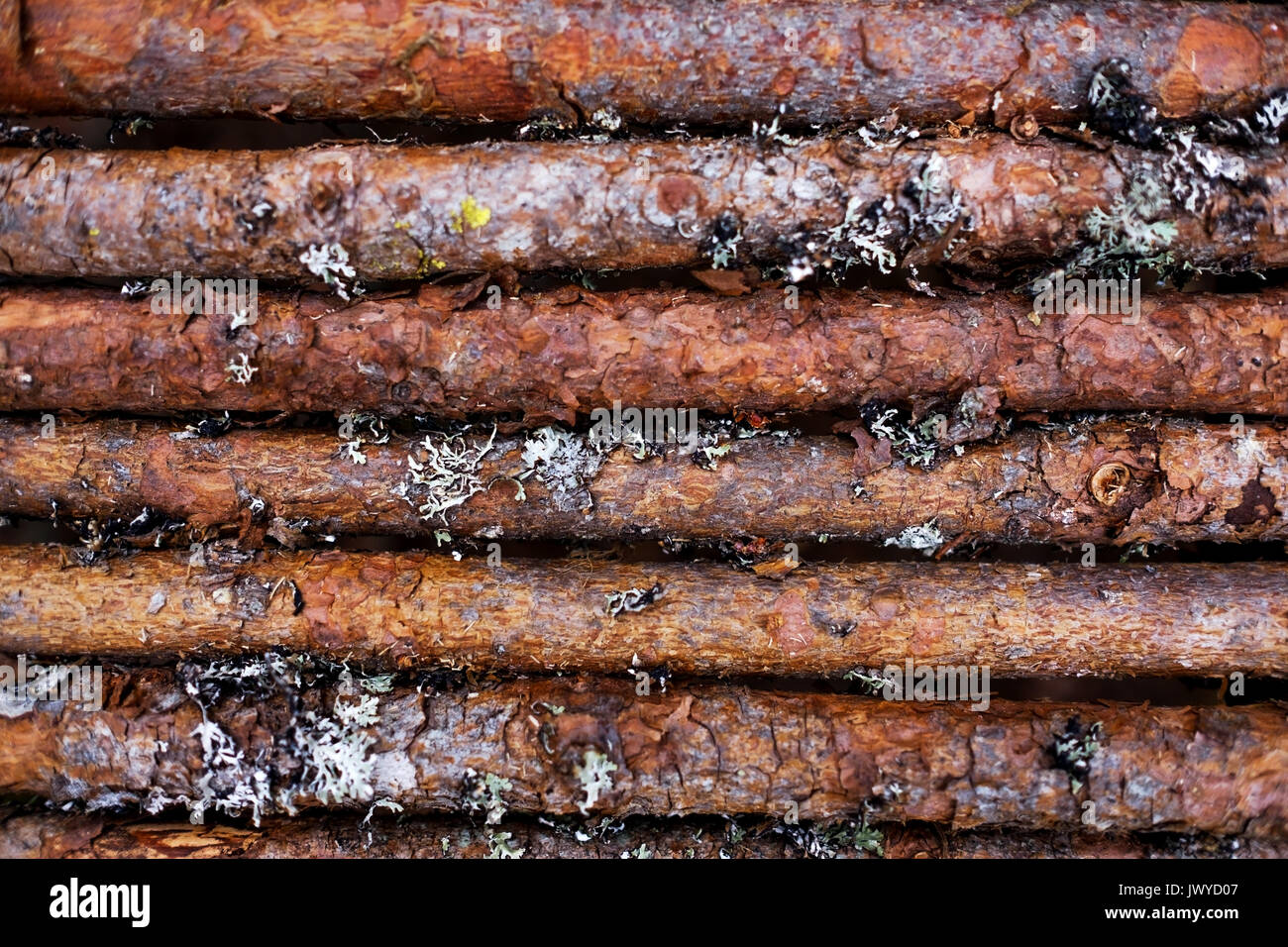Wood log wall hi-res stock photography and images - Alamy