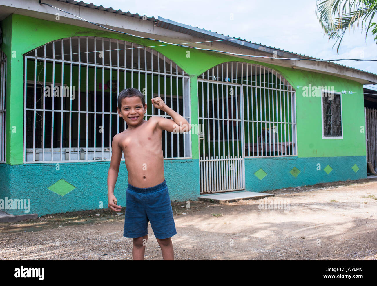 Cocoa seedling hi-res stock photography and images - Alamy