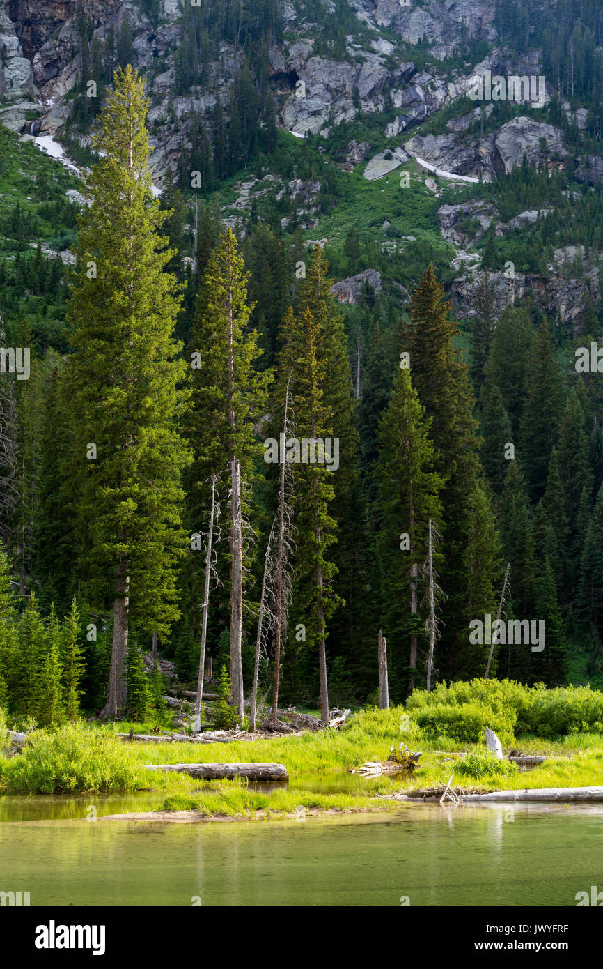 Evergreen trees and rocky cliffs rising above calm waters along Cascade ...