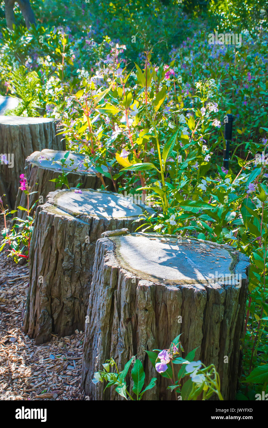 Purple garden seating hi-res stock photography and images - Alamy