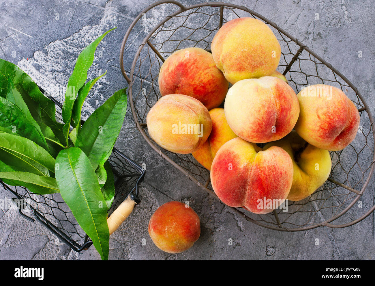 Soft golden peach autumn hi-res stock photography and images - Alamy