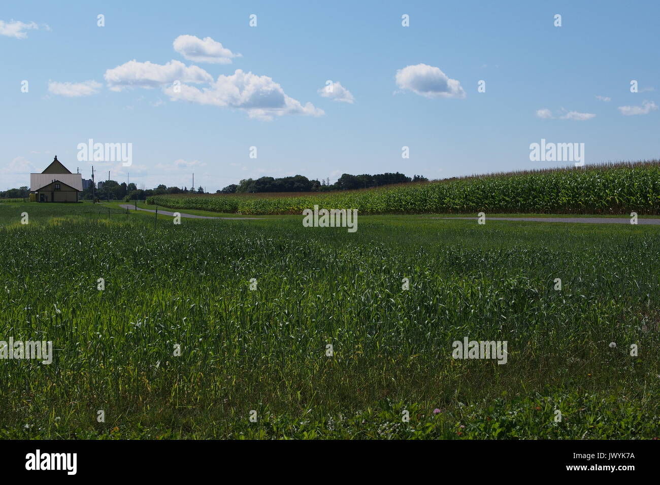 Central experimental farm hi-res stock photography and images - Alamy