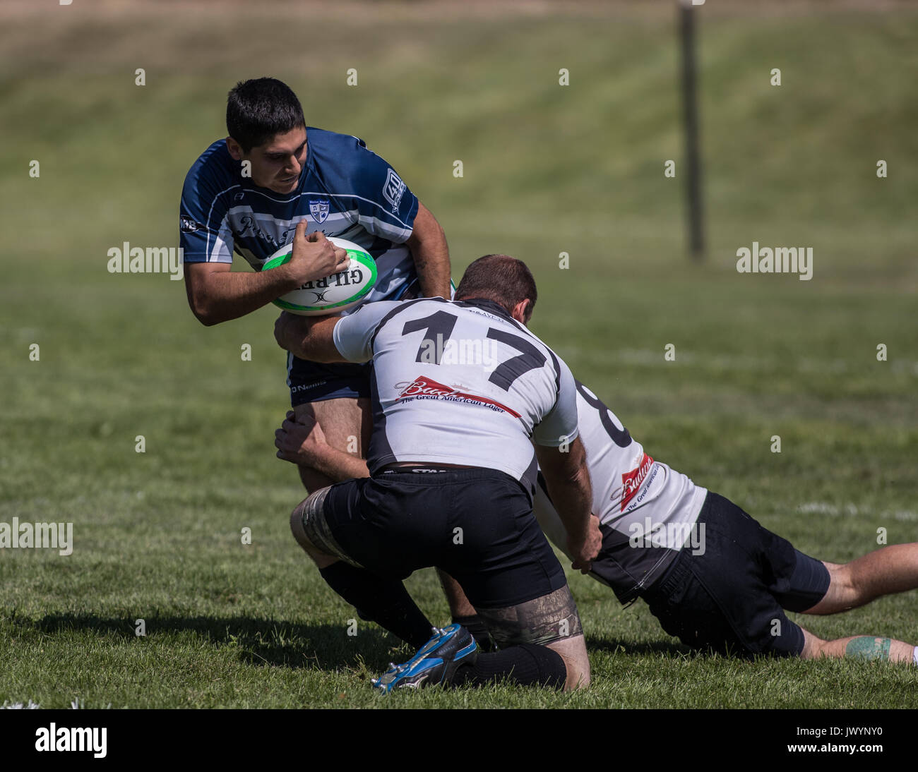 Mt. Shasta vs Modesto Harlots at the Rugby Sevens Tournament in Mount ...