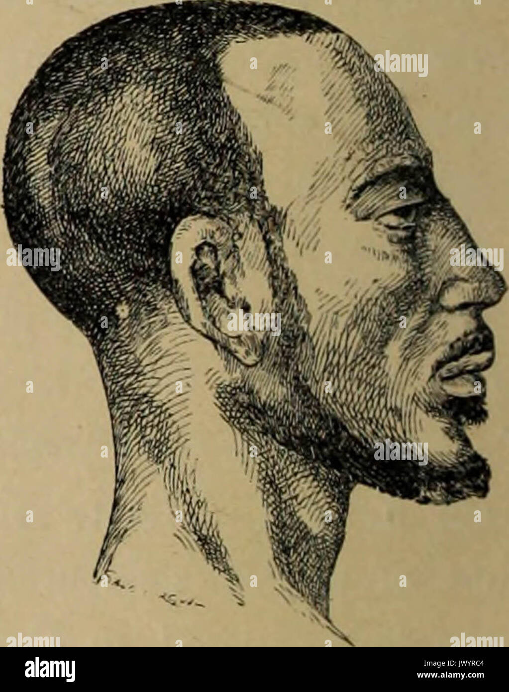 "The dawn of civilization: Egypt and Chaldaea" (1897 Stock Photo - Alamy