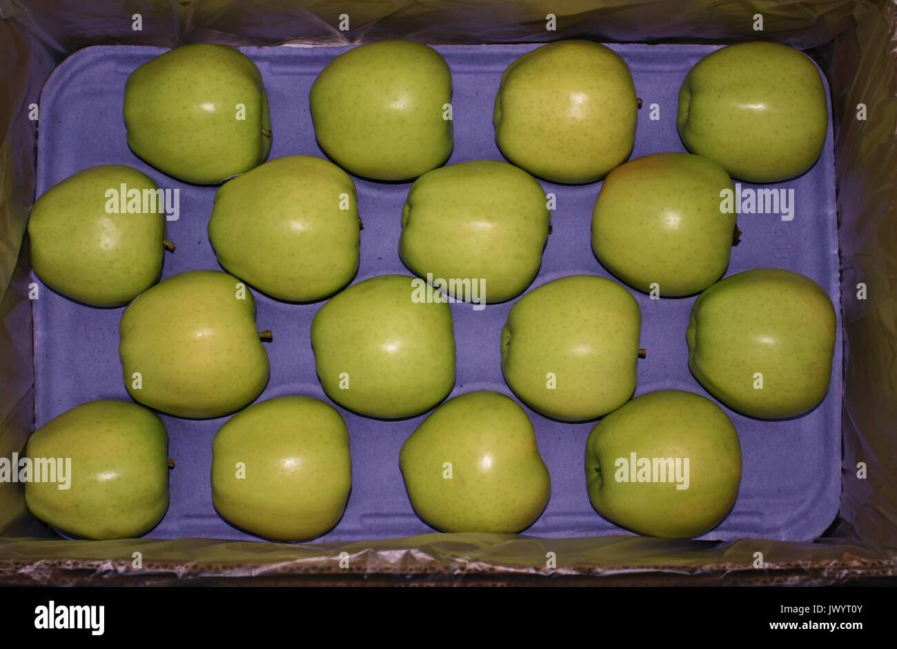 Apples being packed in a warehouse Stock Photo - Alamy