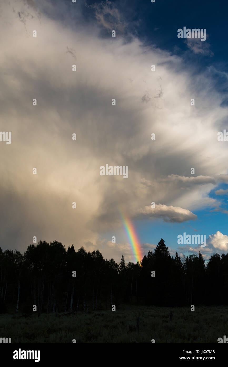 A bright rainbow disappearing into a large thunderhead cloud passing ...