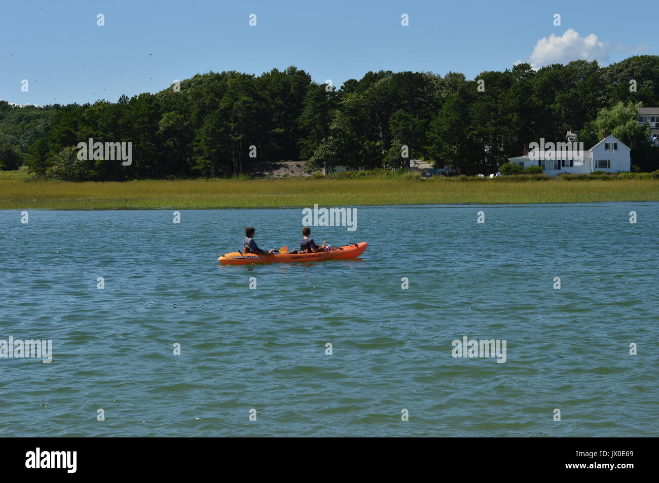 Two people kayaking on estuary Stock Photo - Alamy