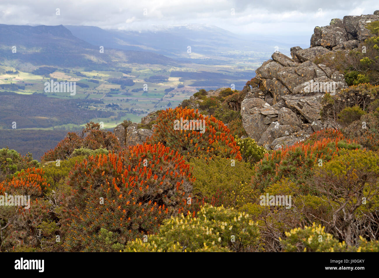 Quamby bluff and tasmania hi-res stock photography and images - Alamy