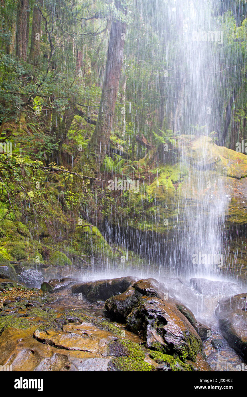 Meander falls waterfall tasmania hi-res stock photography and images ...