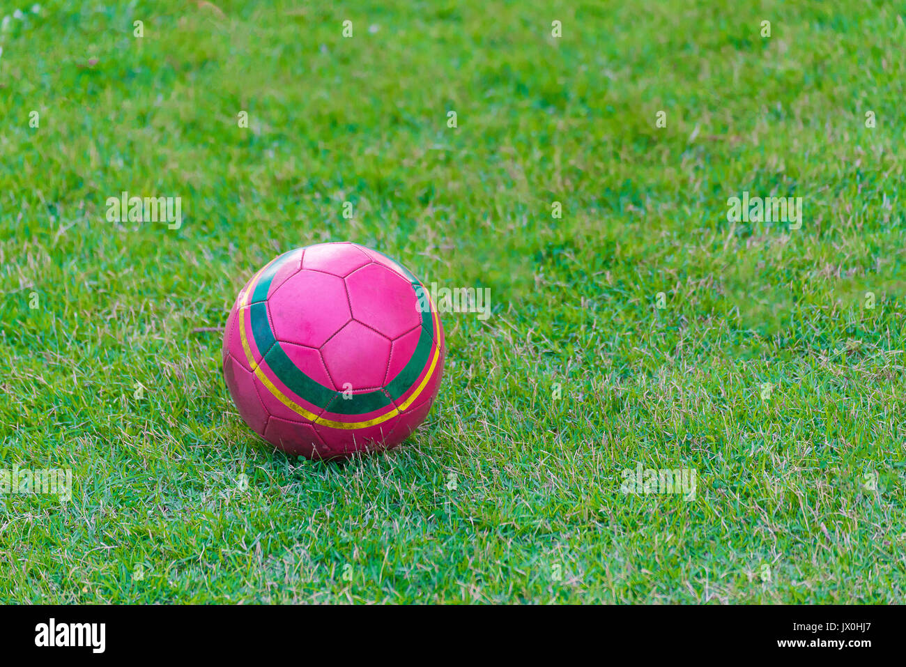 Pink soccer ball on grass field in playground Stock Photo - Alamy