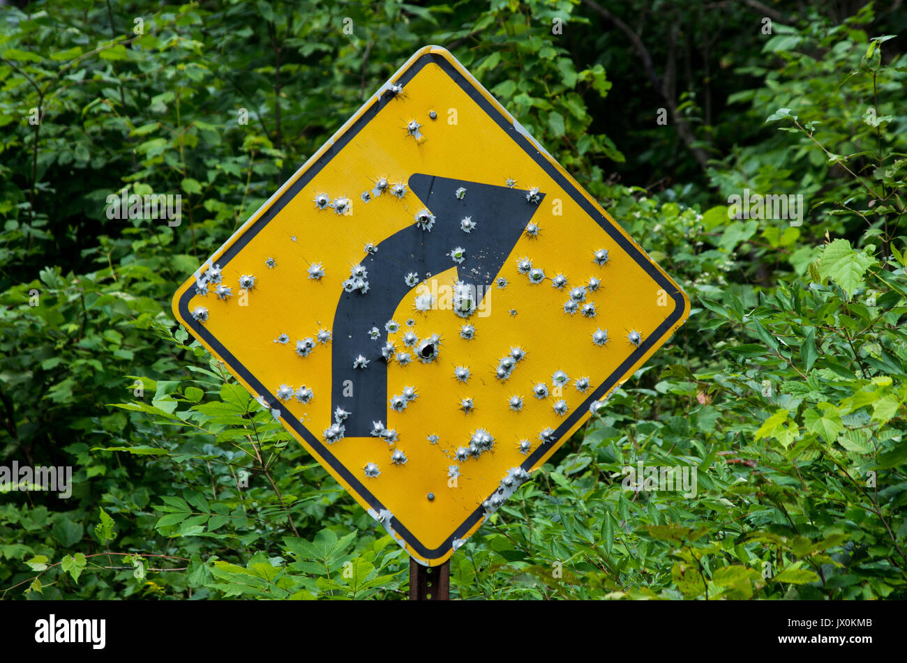 Road sign on a country road with a lot of bullet holes Stock Photo - Alamy