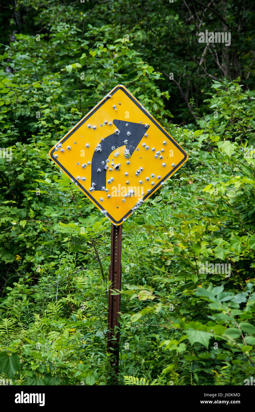 Road sign on a country road with a lot of bullet holes Stock Photo - Alamy