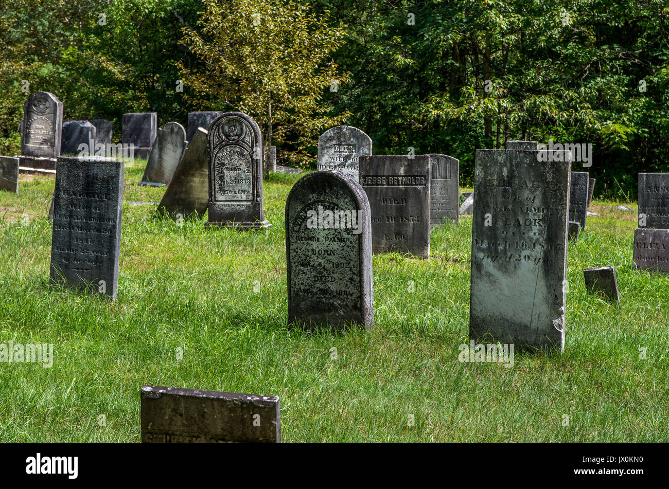 Old forgotten graveyard with gravestones from 1700 and 1800 hundreds in ...