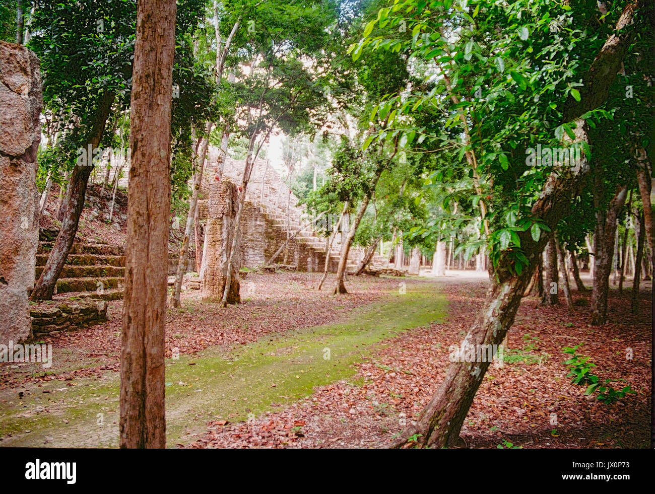 Ancient Mayan ruins at Calakmul, Campeche, Mexico. These ruins were in ...